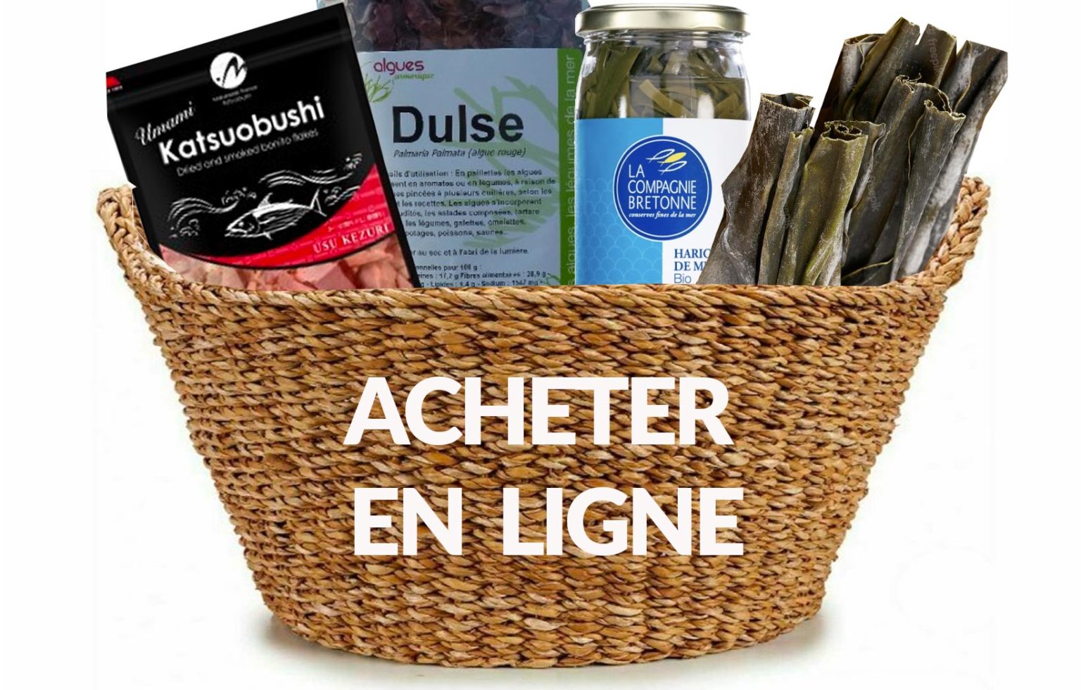 Agar agar | Algues armorique