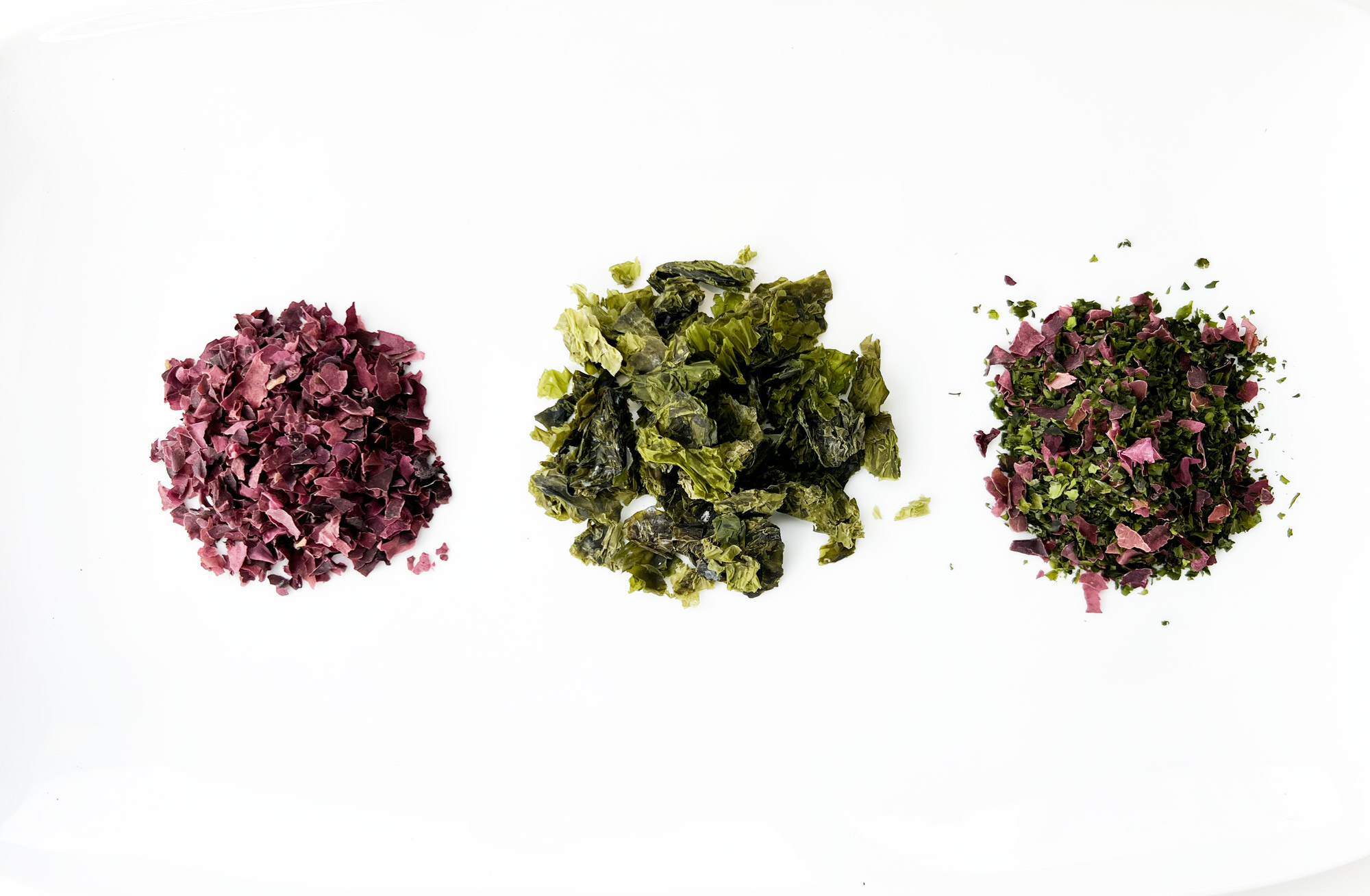 Agar agar | Algues armorique